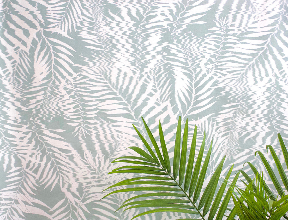 Hazy Palm in Mist – Bradley USA